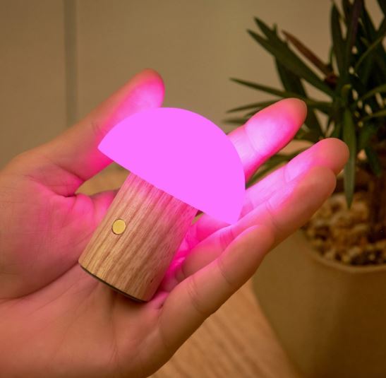 Gingko Super Mini Alice Mushroom RBG Colour Changing Desk Lamp ...