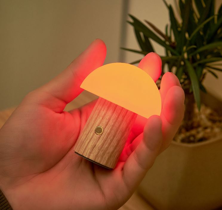 Gingko Super Mini Alice Mushroom RBG Colour Changing Desk Lamp ...